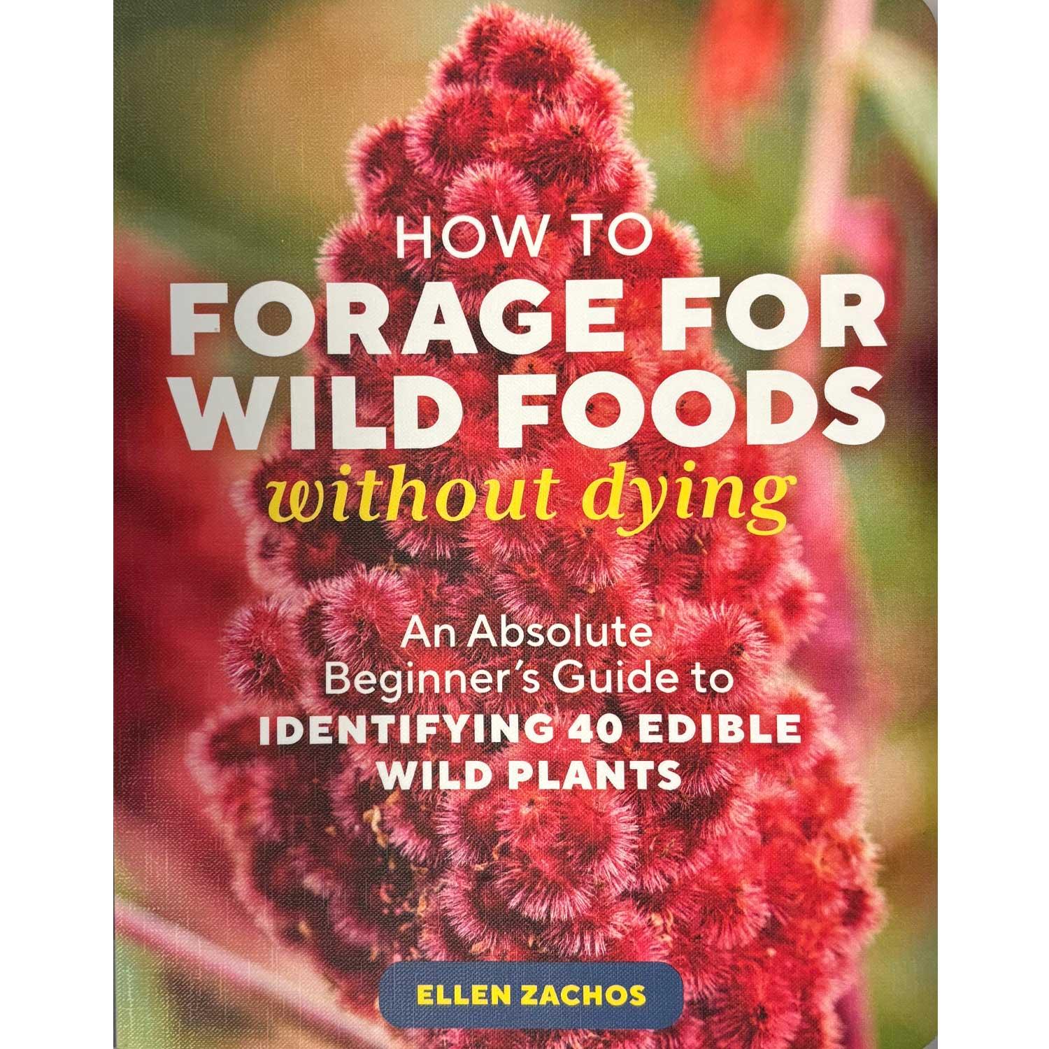 How To Forage For Wild Foods By Ellen Zachos | Boundary Waters Catalog