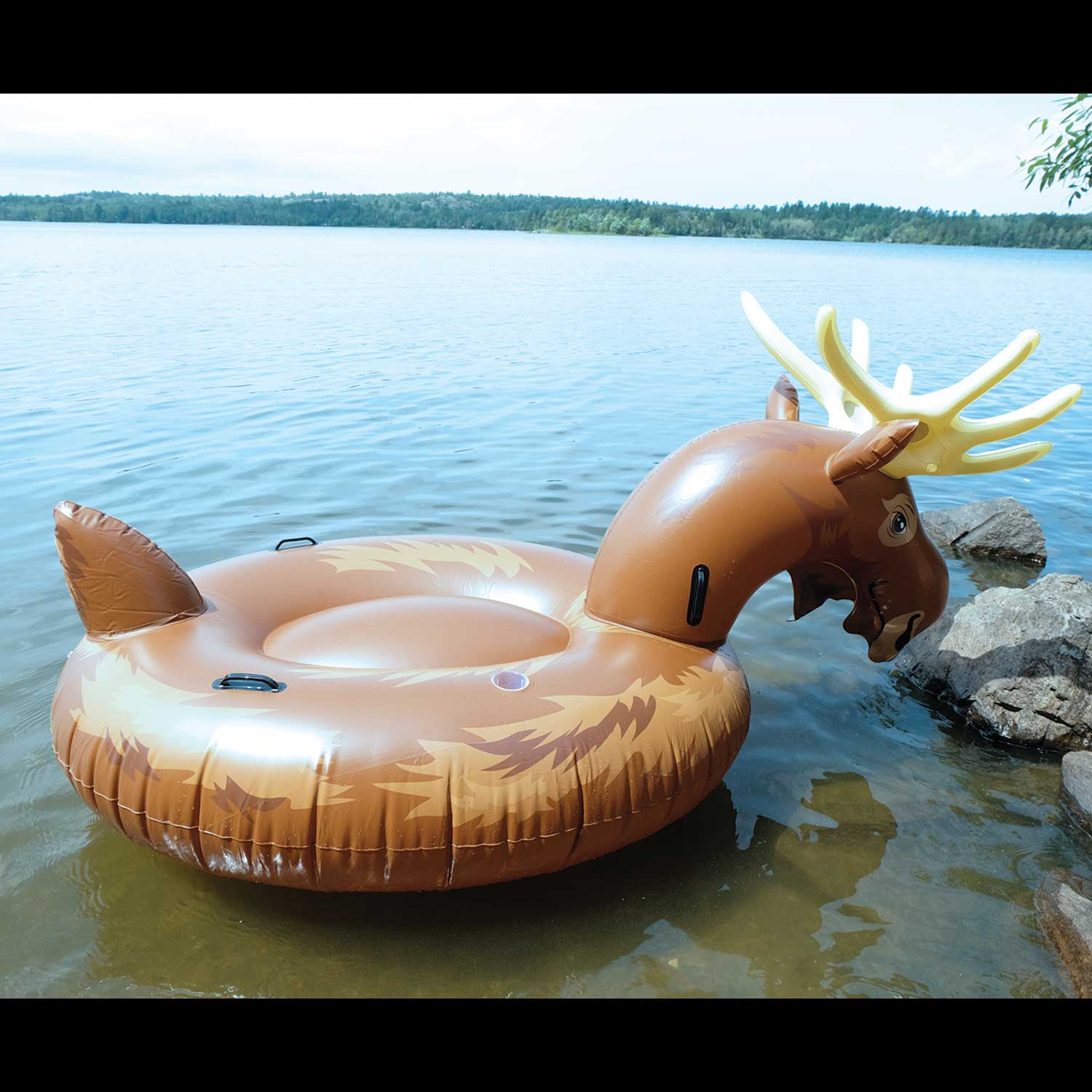 Moose Float By Float Eh Boundary Waters Catalog